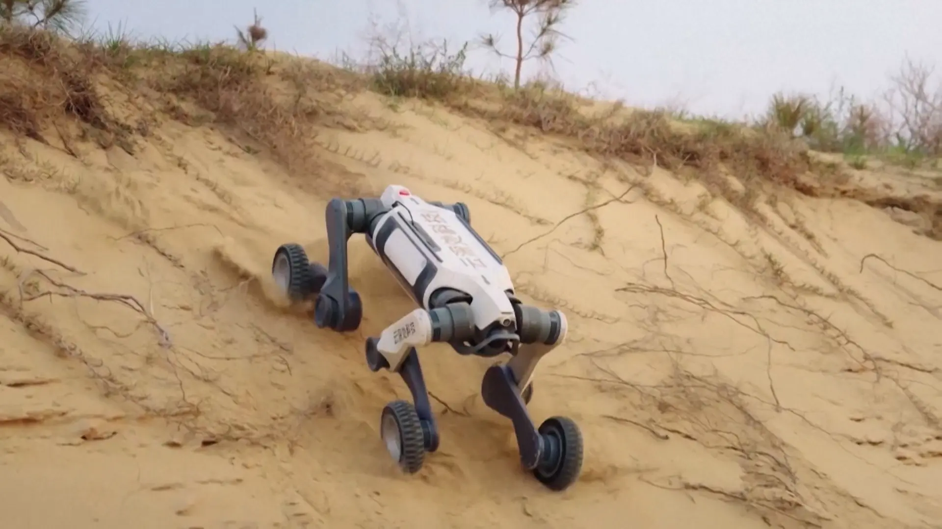 Trung Quốc: Chú chó robot chinh phục địa hình phức tạp
