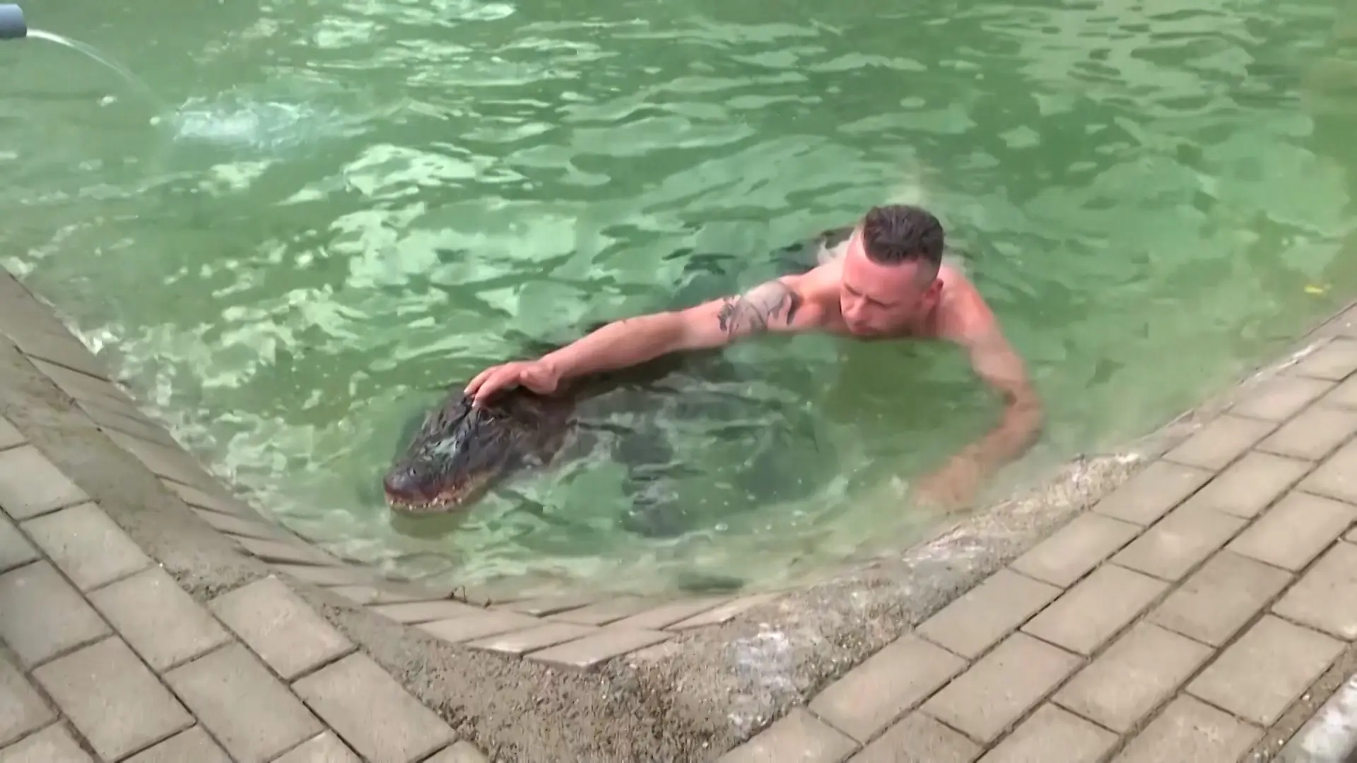 Chú cá sấu đặc biệt gắn bó với gia đình người Đức